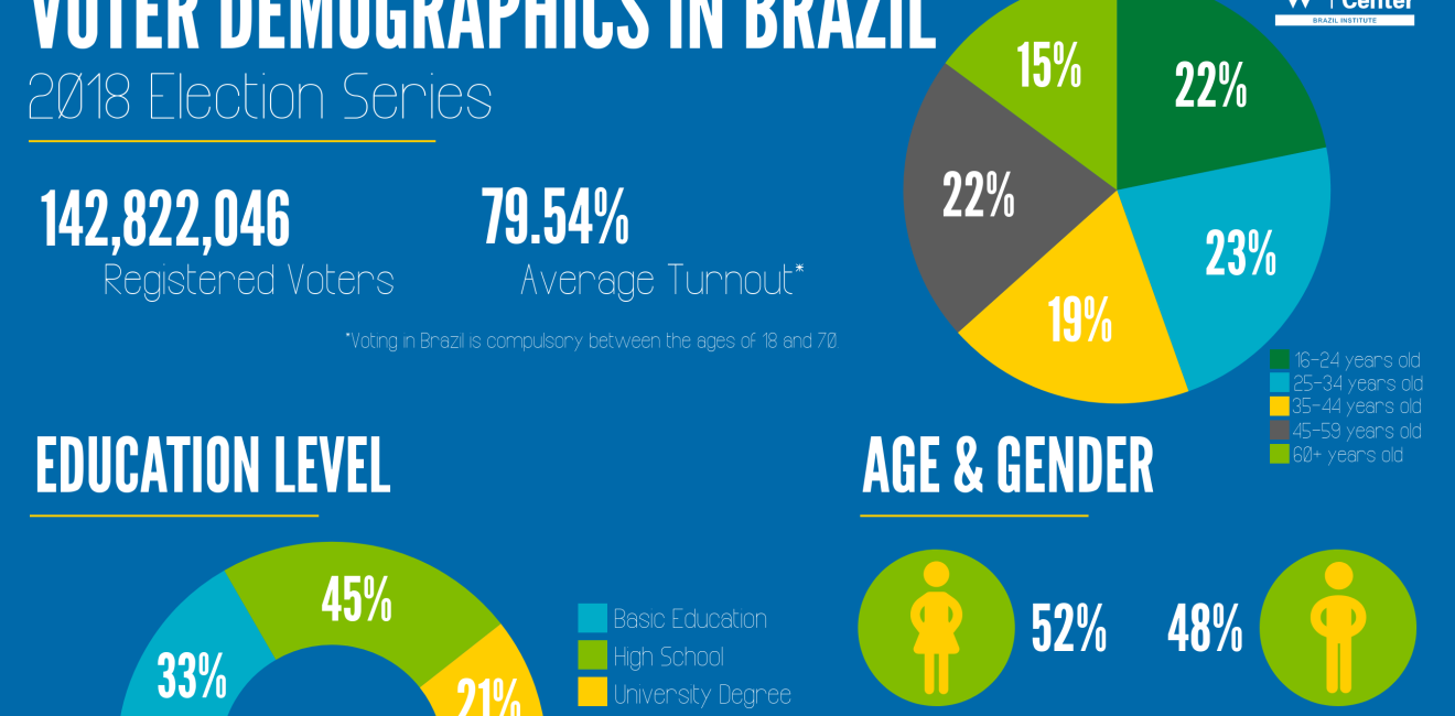 Voter Demographics in Brazil | Wilson Center
